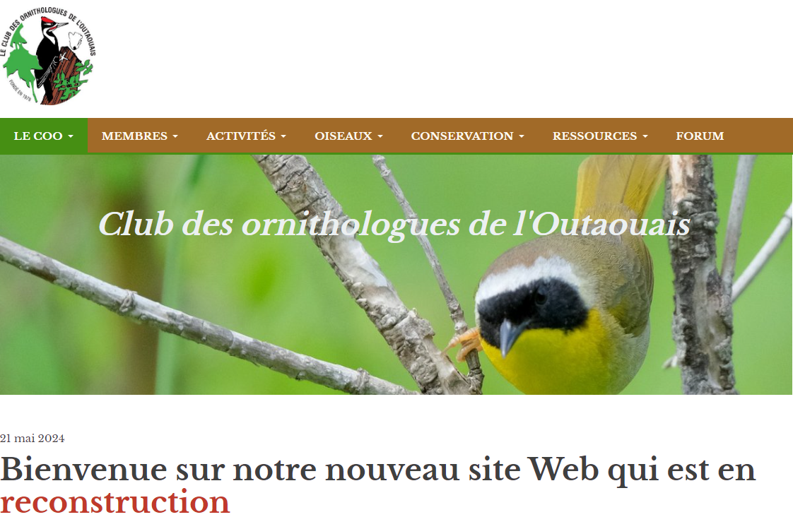 Sites Dobservation Oiseaux Ornithologie Outaouais Observation