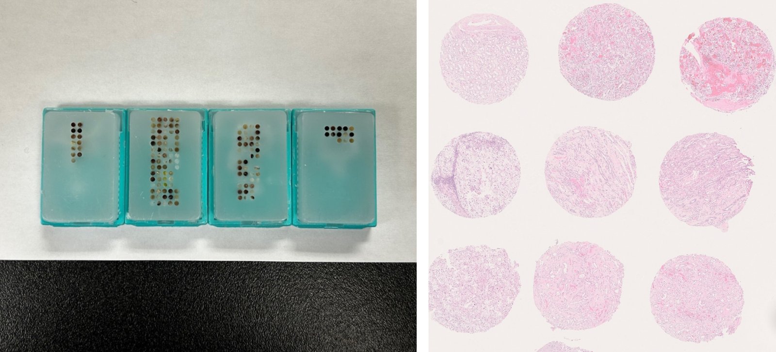 Histology Innovation Platform | Goodman cancer Institute