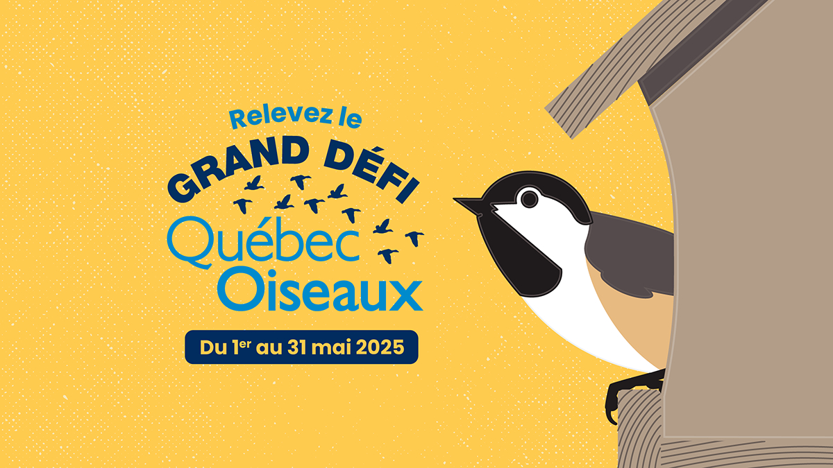 Accueil Grand Défi