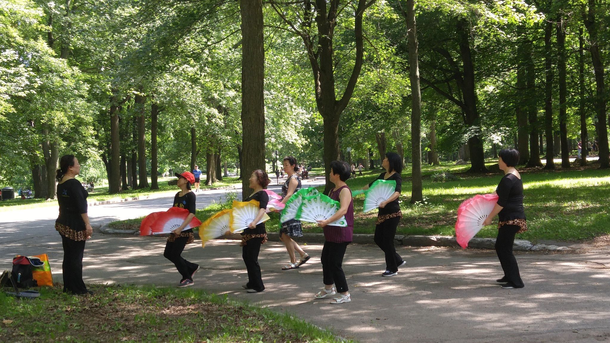 Étude du Parc Angrignon - Centre d'écologie urbaine