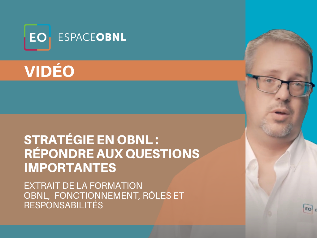 Stratégie en OBNL : Répondre aux questions importantes - Extrait de la ...
