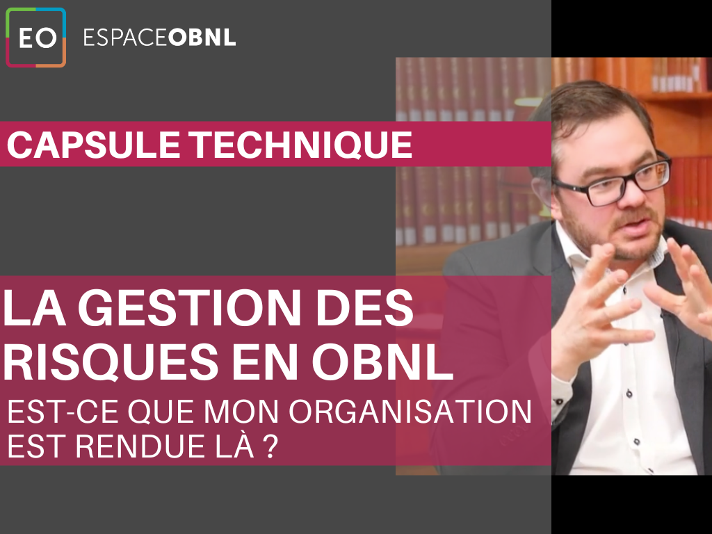 Gestion des risques en OBNL, est-ce que mon organisation est rendue là ? - Capsule technique #49 ...