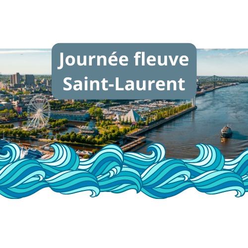 Journée Fleuve Saint-Laurent (Tour d'observation et navette fluviale ...