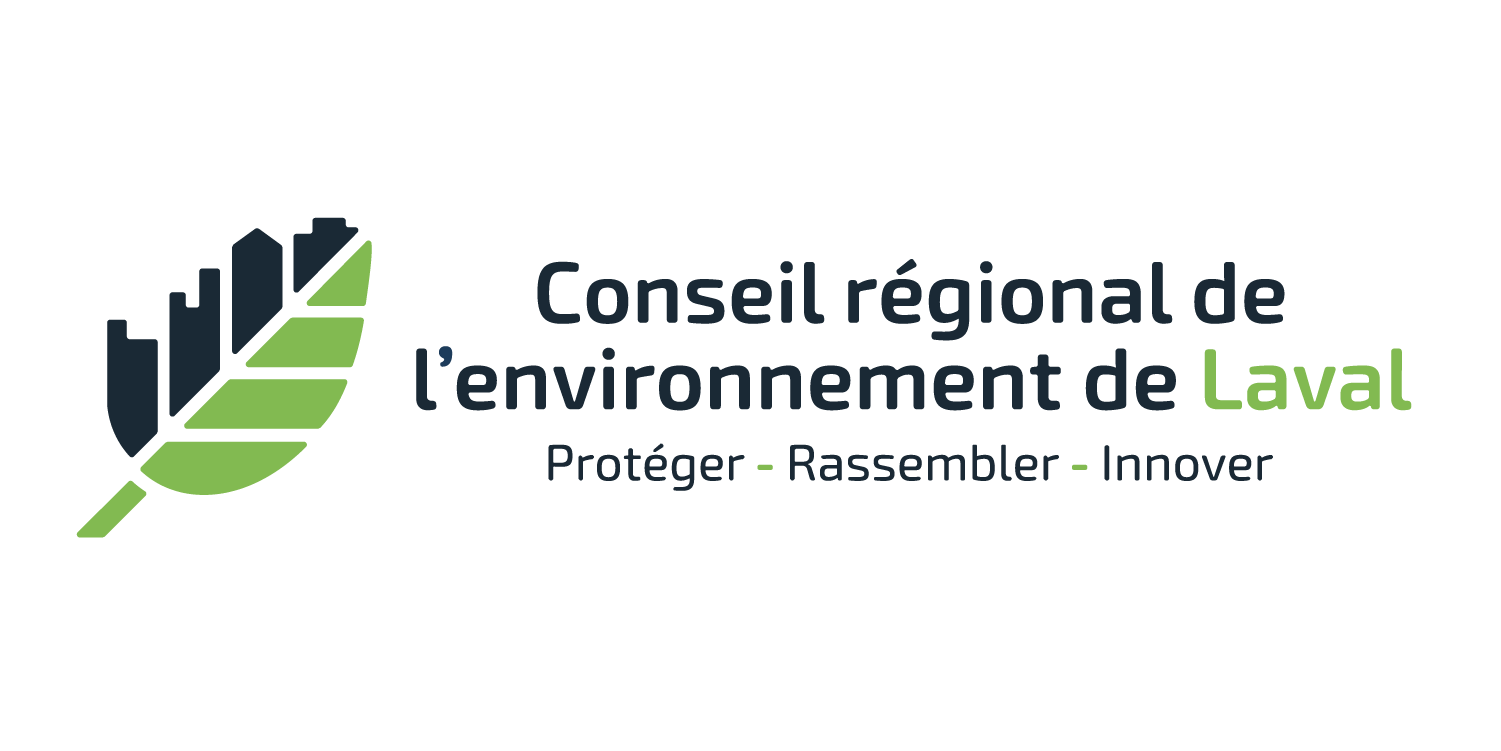 Team building in Laval